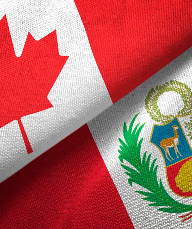 Emigra a Canadá: Su puente al éxito con el programa del Tratado de ...